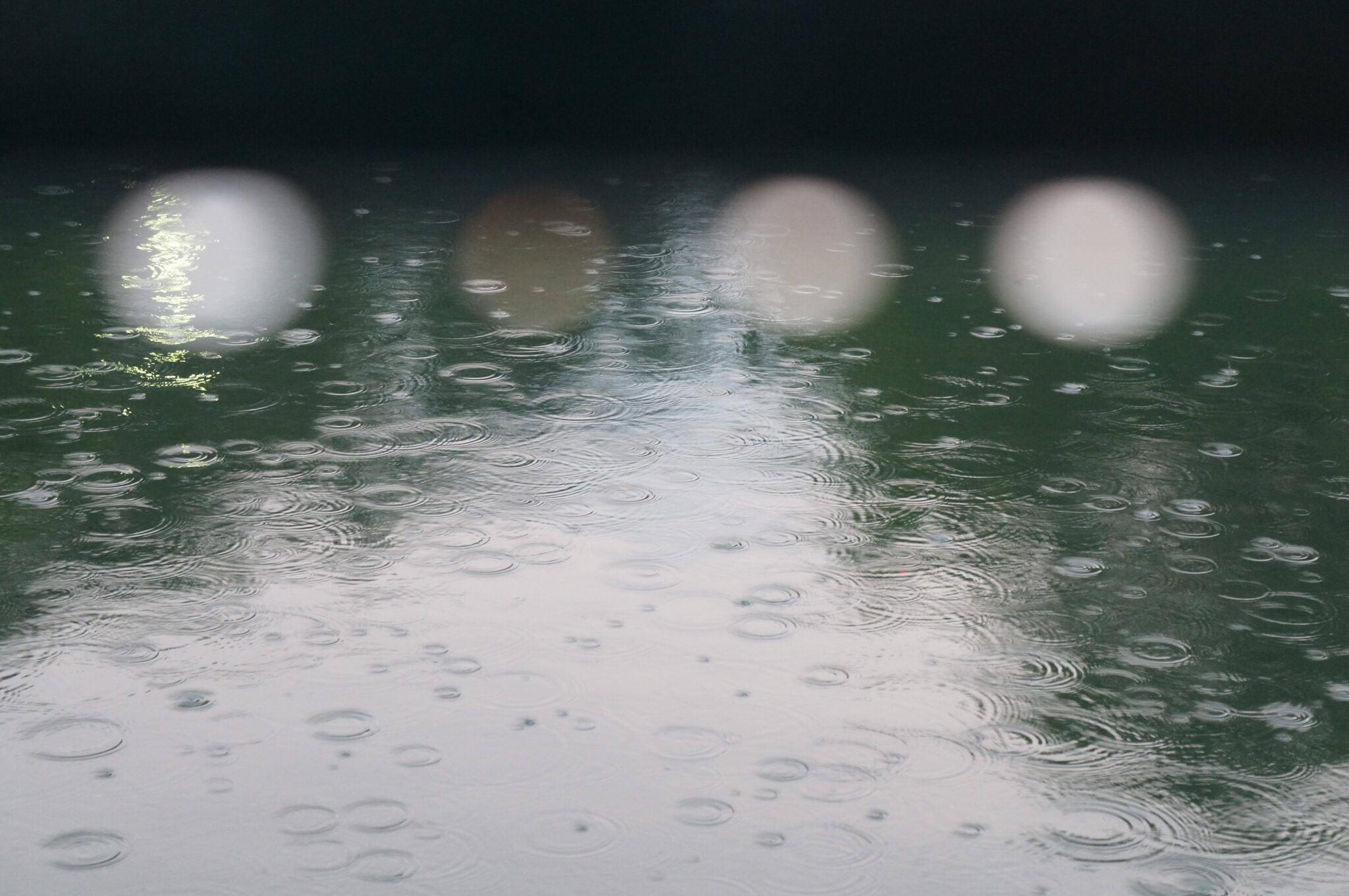 FM BLOOM 82.0MHz｜みんなのあま咲き放送局｜尼崎