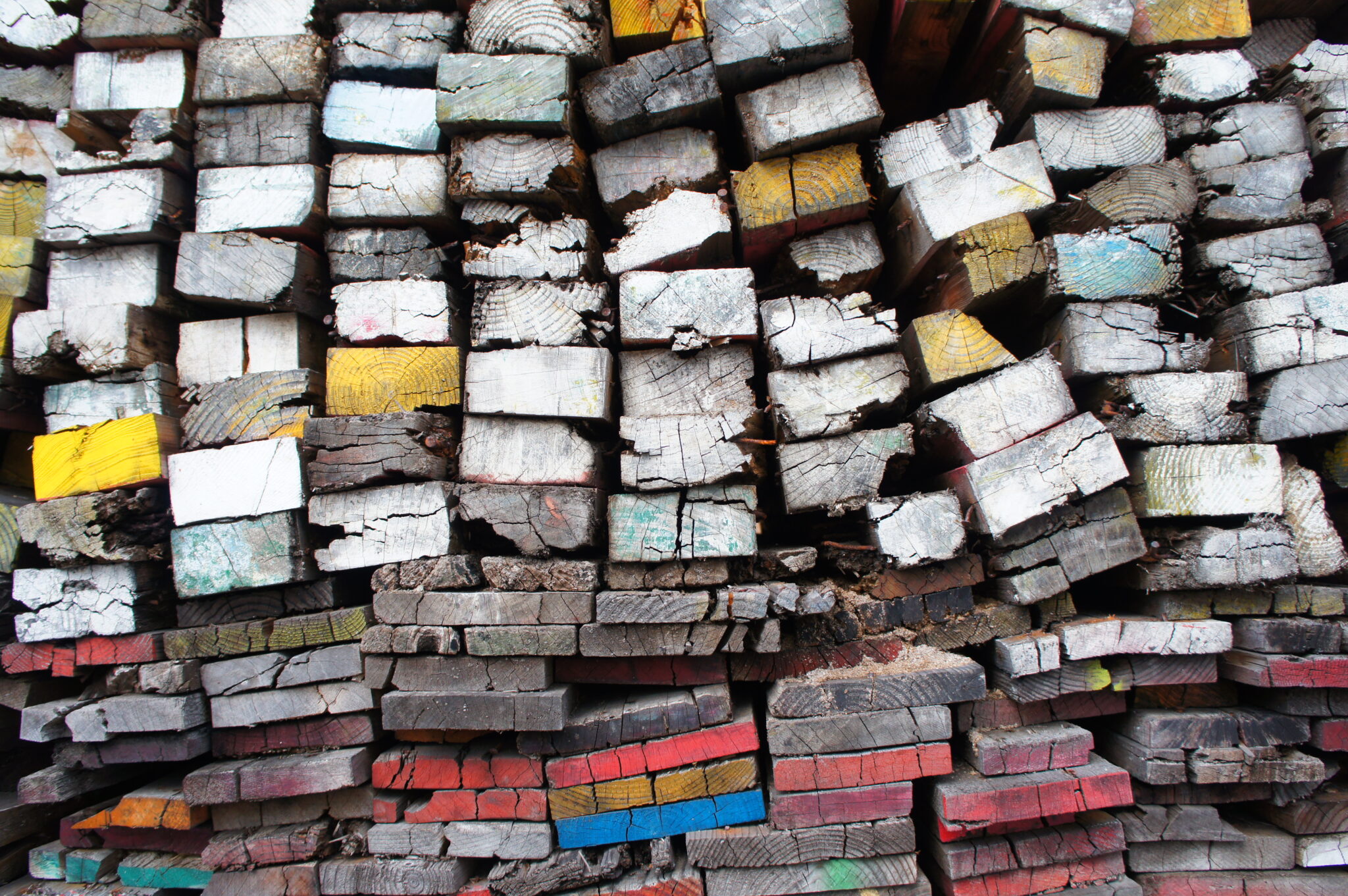 FM BLOOM 82.0MHz｜みんなのあま咲き放送局｜尼崎