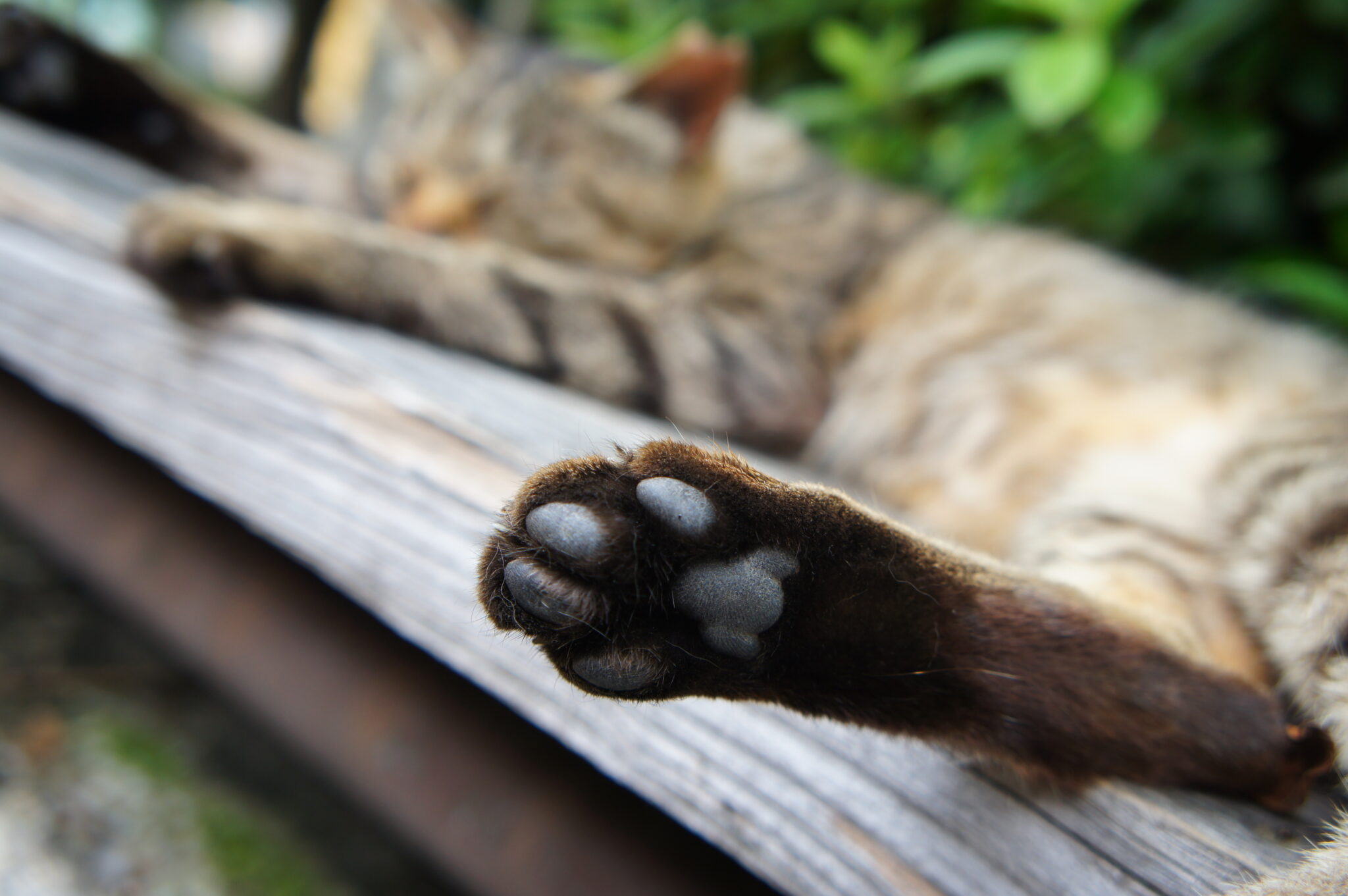 FM BLOOM 82.0MHz｜みんなのあま咲き放送局｜尼崎